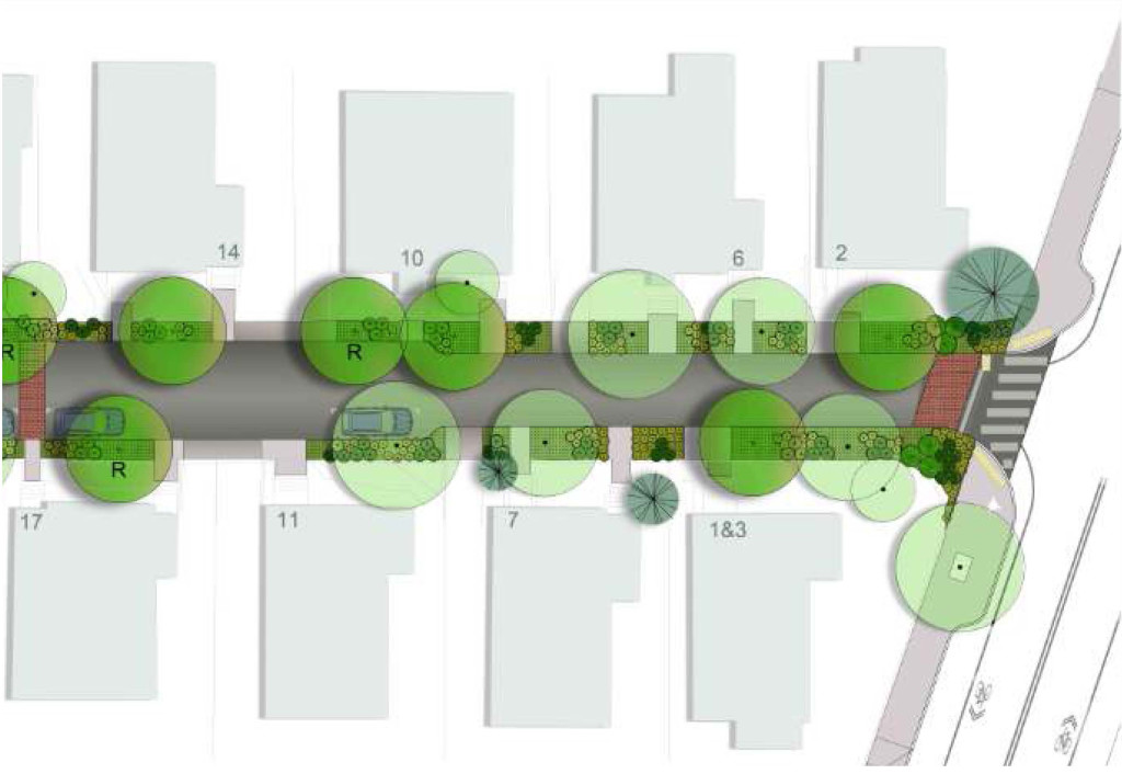 Shared Street has More Space for Trees – Belmont Citizens Forum
