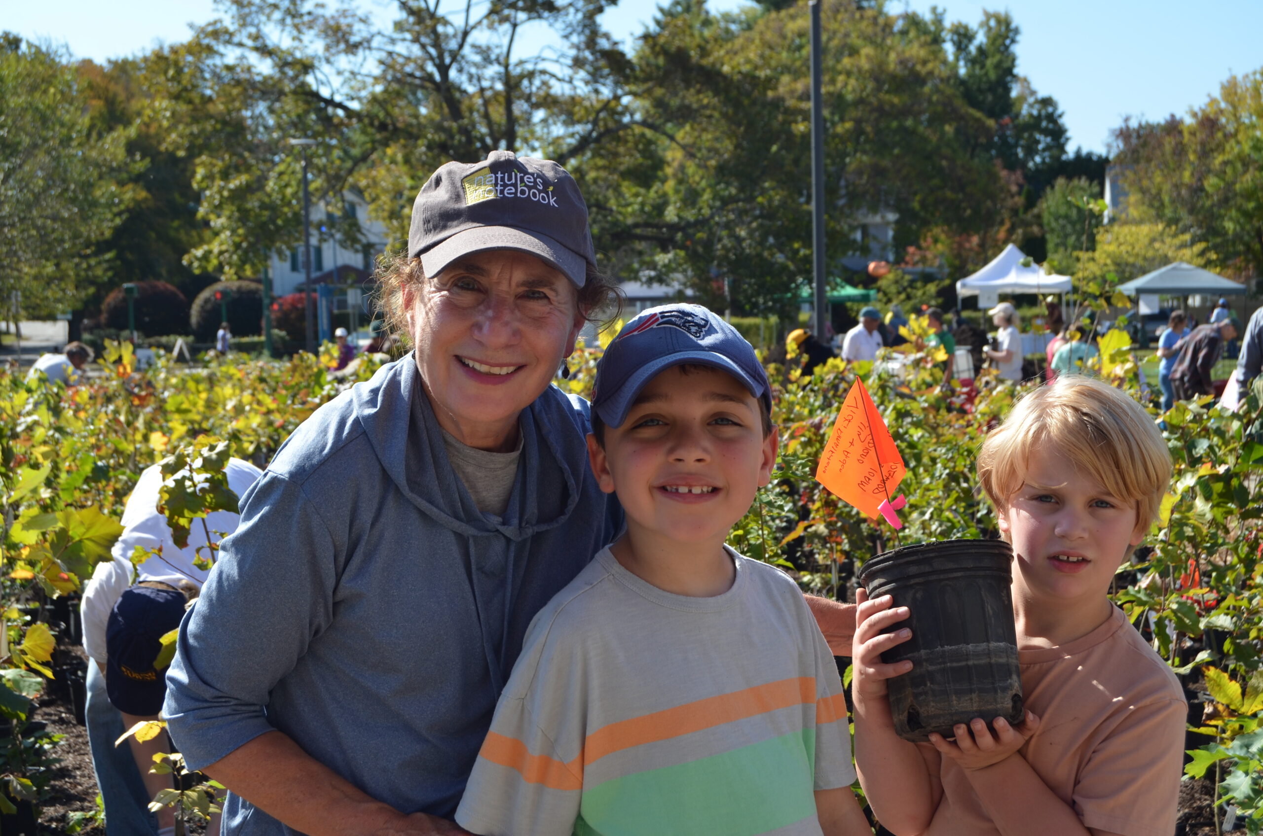 Miyawaki Forest Planted at Belmont Middle and High School – Belmont ...